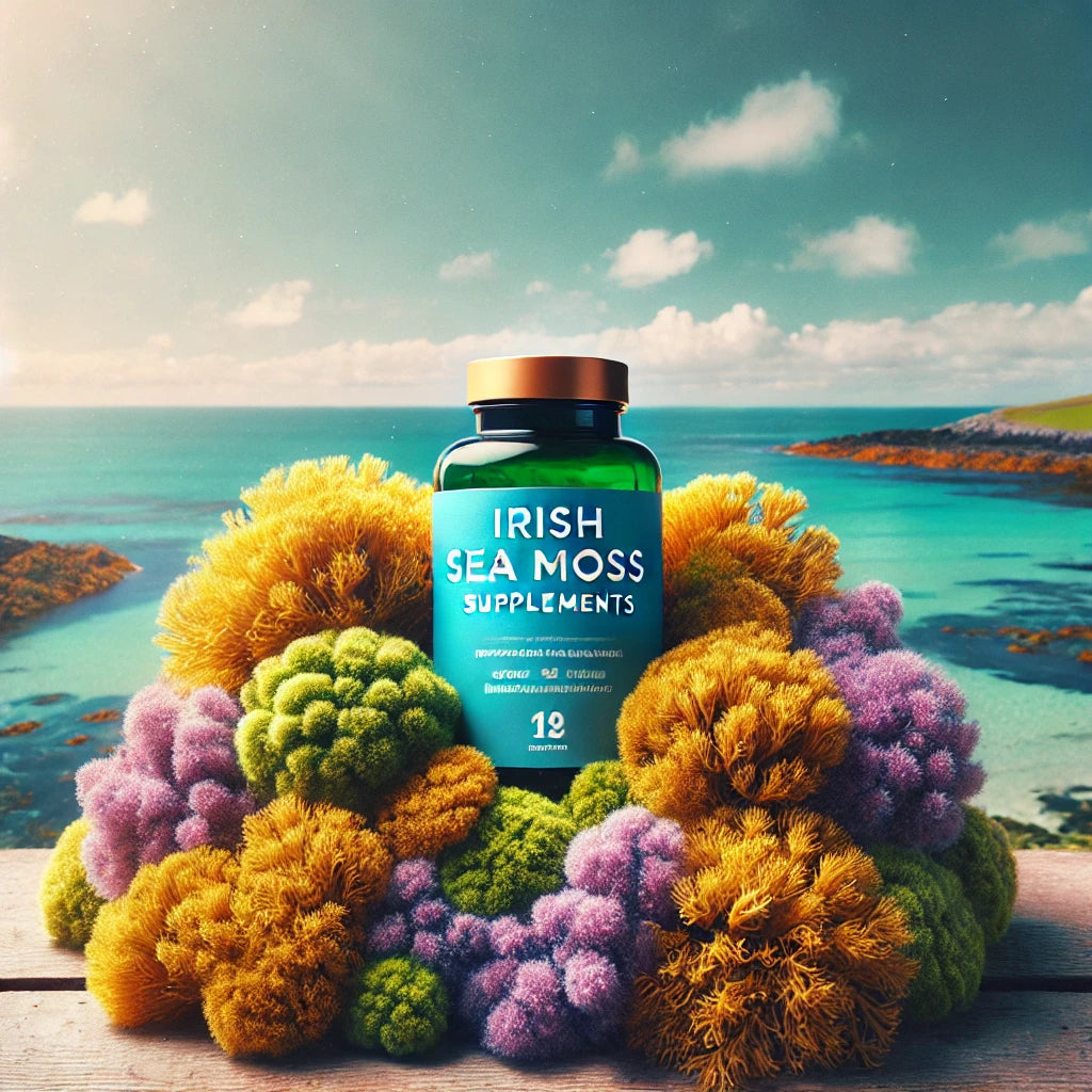 Sea Moss: Everything You Need To Know – Williams Natural Foods