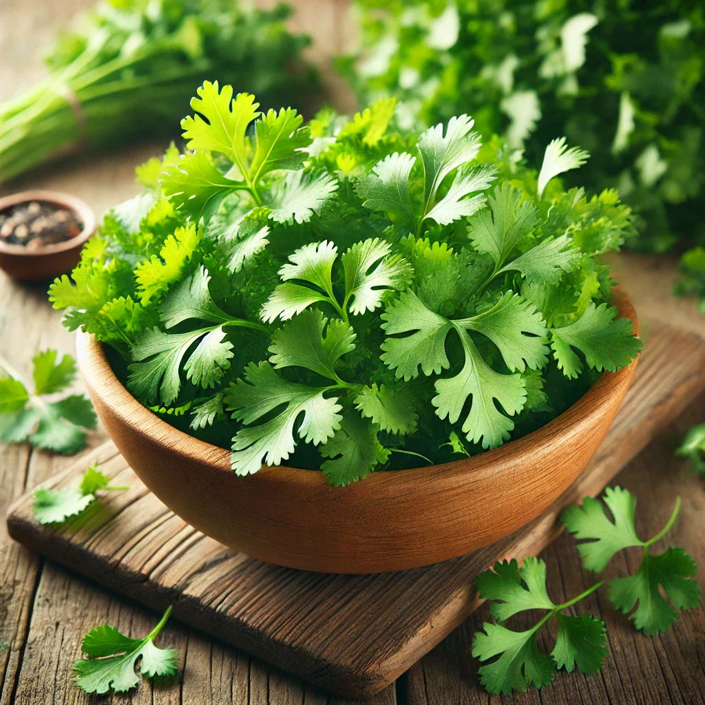 Cilantro: The Fresh and Fragrant Herb for Flavor and Health – Williams ...