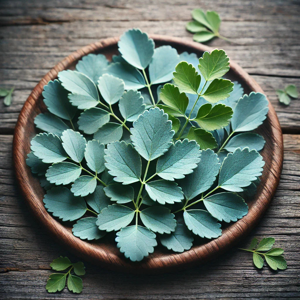 Rue: The Ancient Herb for Flavor, Aroma, and Traditional Remedies ...